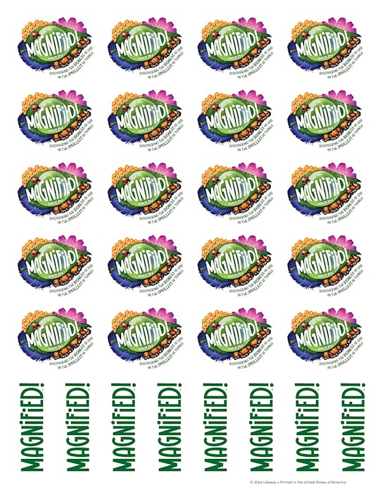 VBS-MAGNIFIED!: LOGO STICKERS (PACK OF 10 SHEETS) (2025) - Logos ...